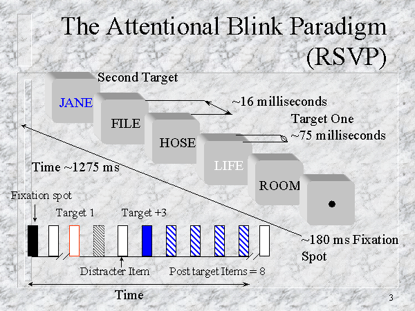 The Attentional Blink Paradigm (RSVP) The Attentional Blink Paradigm (RSVP)